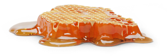 Best Natural Honey in Telangana | Natural Honey in Warangal